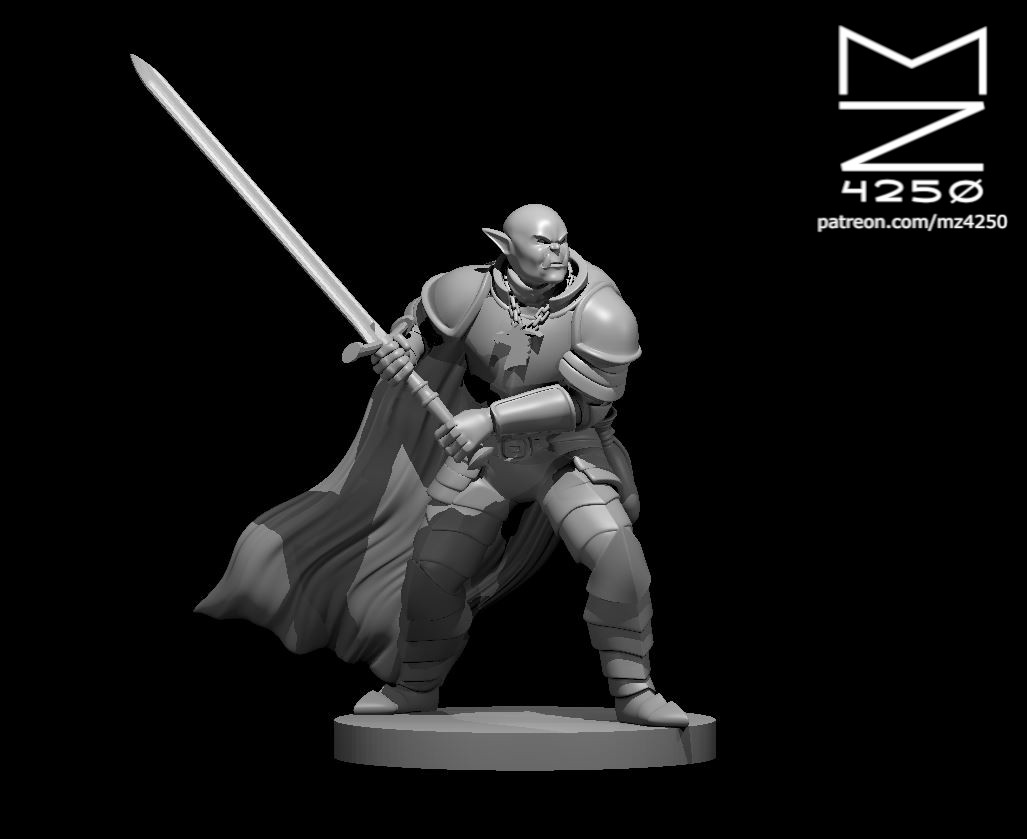 Paladin Collection by MZ4250 | Download free STL model | Printables.com