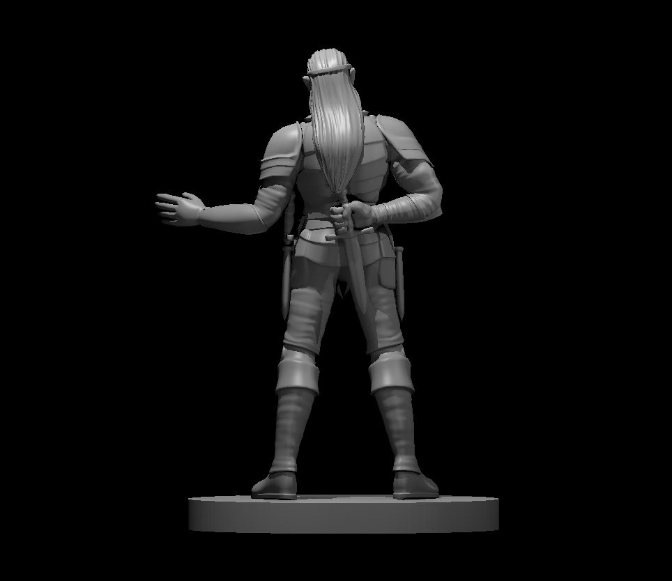 Rogue Collection by MZ4250 | Download free STL model | Printables.com