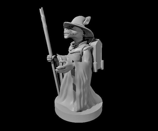 Wizard Collection by MZ4250 | Download free STL model | Printables.com