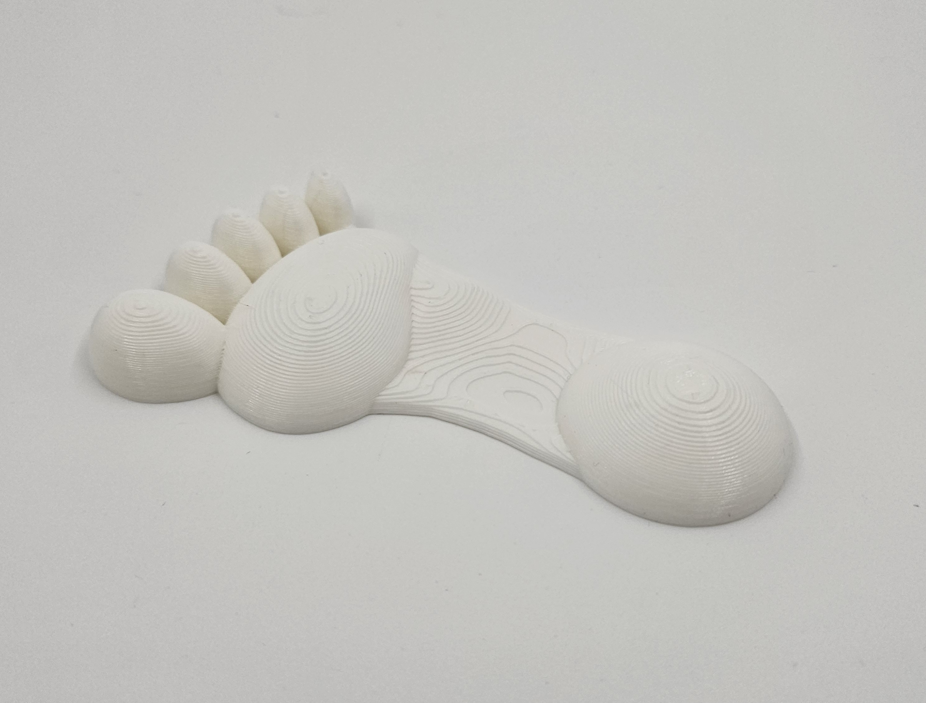 Make different animal footprints in sand by Visio 3D Team | Download ...