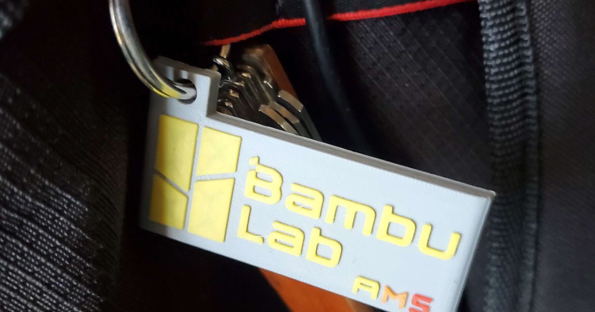 Bambu Lab Keychain AMS 4 color by PoussinJaune | Download free STL model | Printables.com