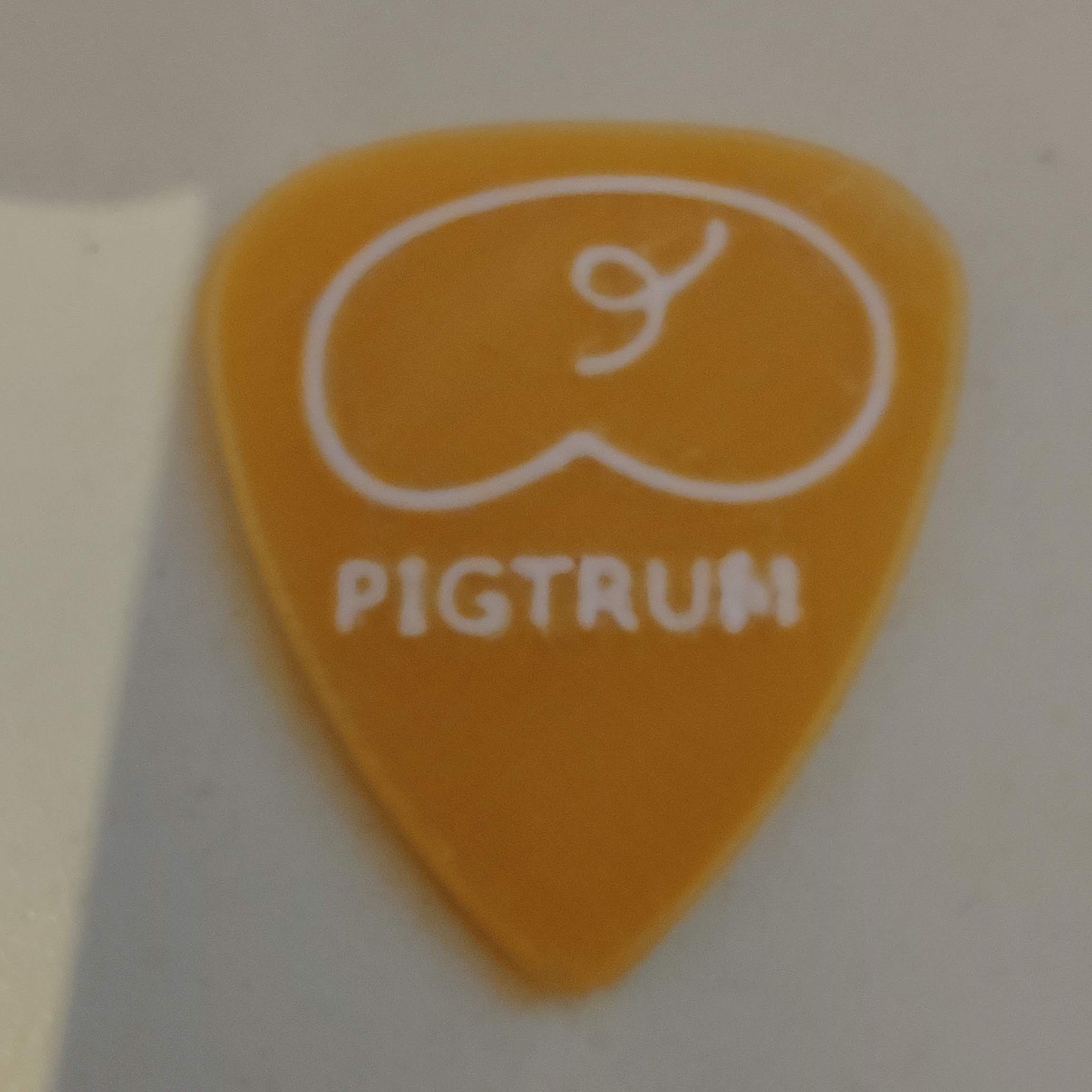 PIGTRUM Plectrum by Max Siebenschläfer | Download free STL model | Printables.com