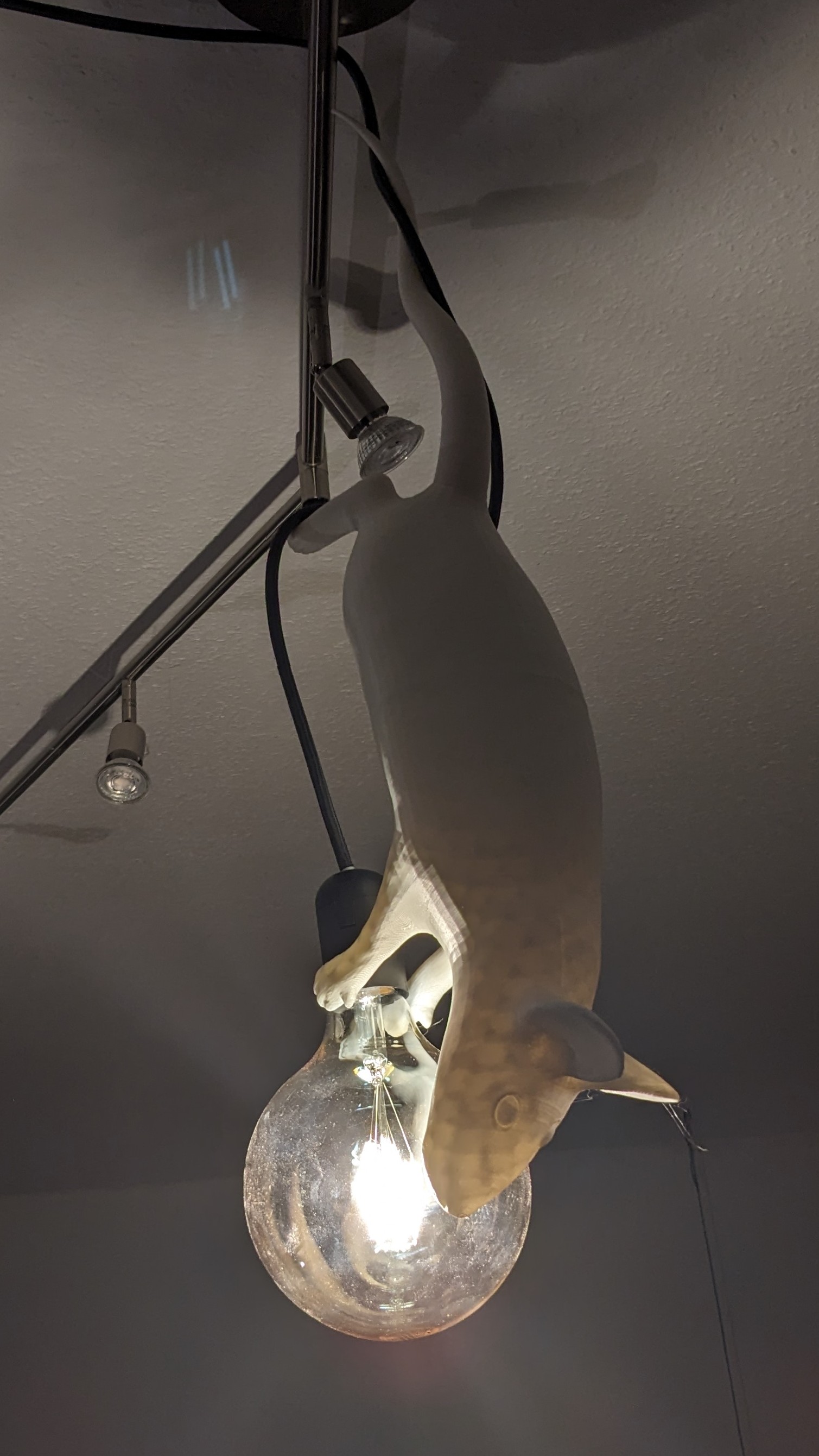 Hanging Cool Mouse Lamp (Remix) by crasbe | Download free STL model ...