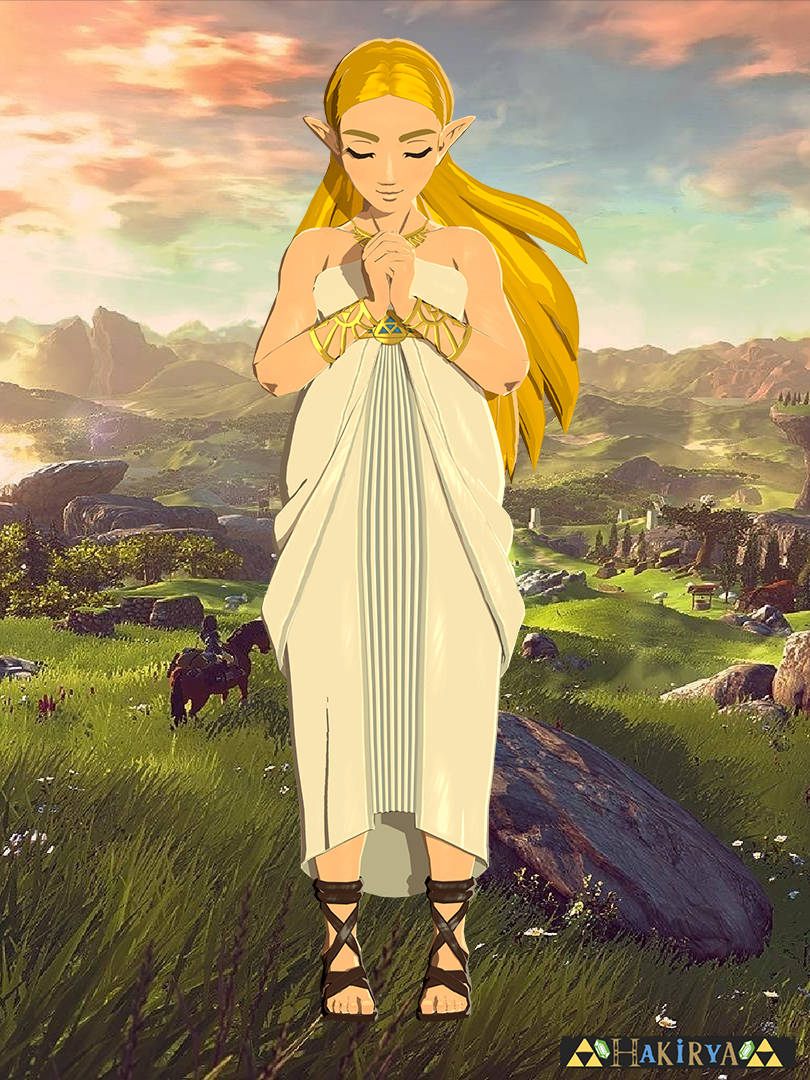 Zelda Zelda Zelda The Legend Of Zelda Breath Of The Wild Botw Botw