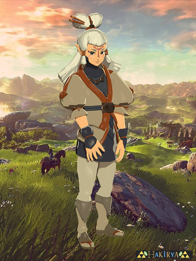 Zelda Zelda Zelda The Legend Of Zelda Breath Of The Wild Botw Botw