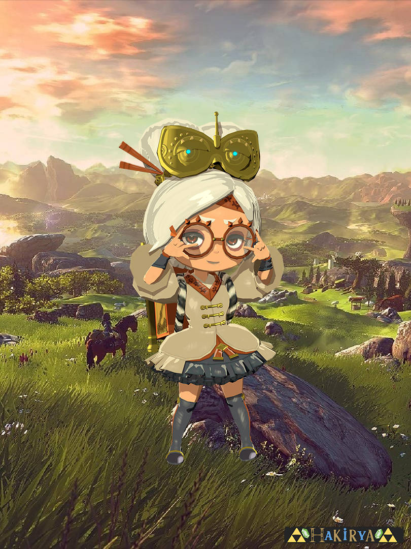 Zelda Zelda Zelda The Legend Of Zelda Breath Of The Wild Botw Botw