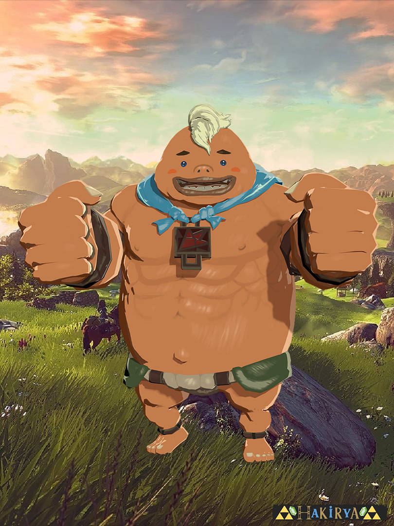 Zelda Zelda Zelda The Legend Of Zelda Breath Of The Wild Botw Botw