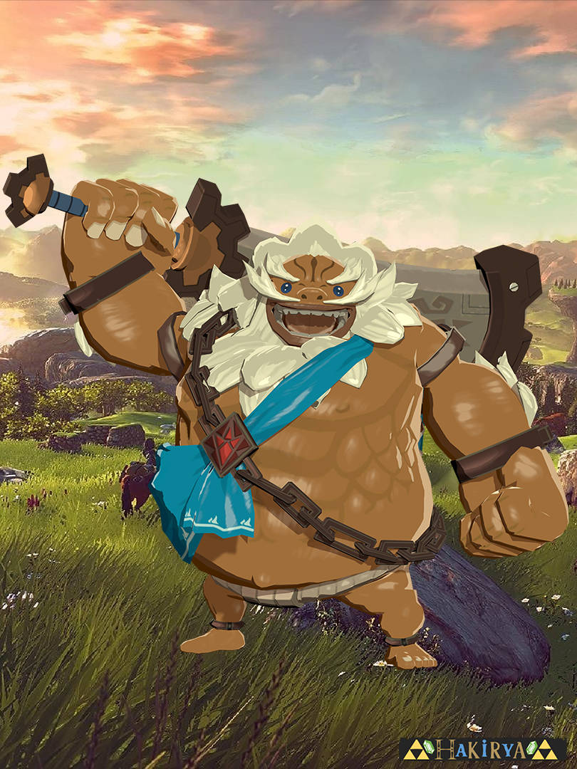 Zelda Zelda Zelda The Legend Of Zelda Breath Of The Wild Botw Botw