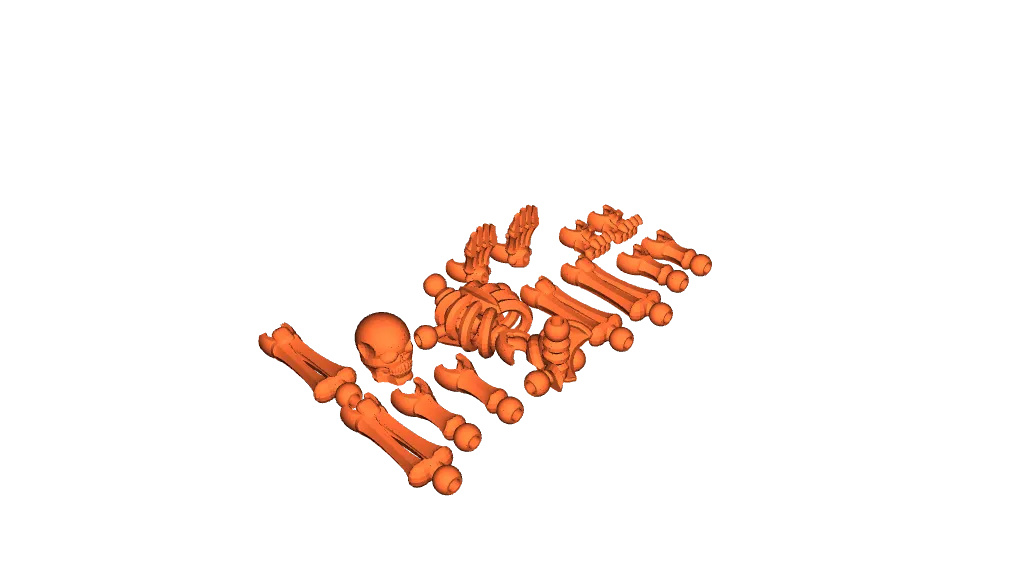 skeleton by oe123 | Download free STL model | Printables.com