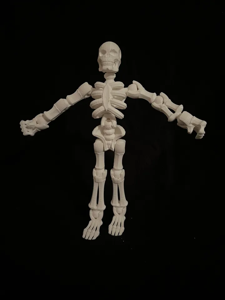 movable skeleton decoration by Hoani3D | Download free STL model ...