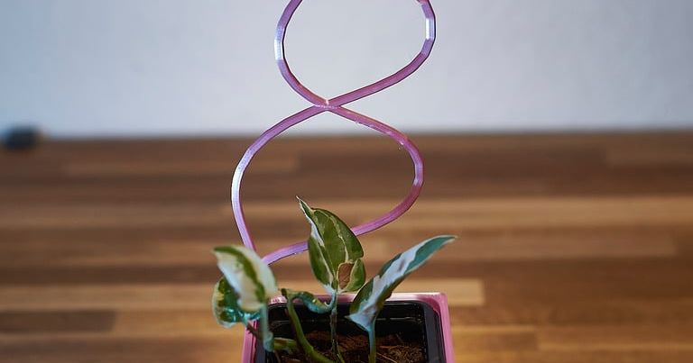 Modular Plant Pot with atachable plant supports by Mattes | Download ...