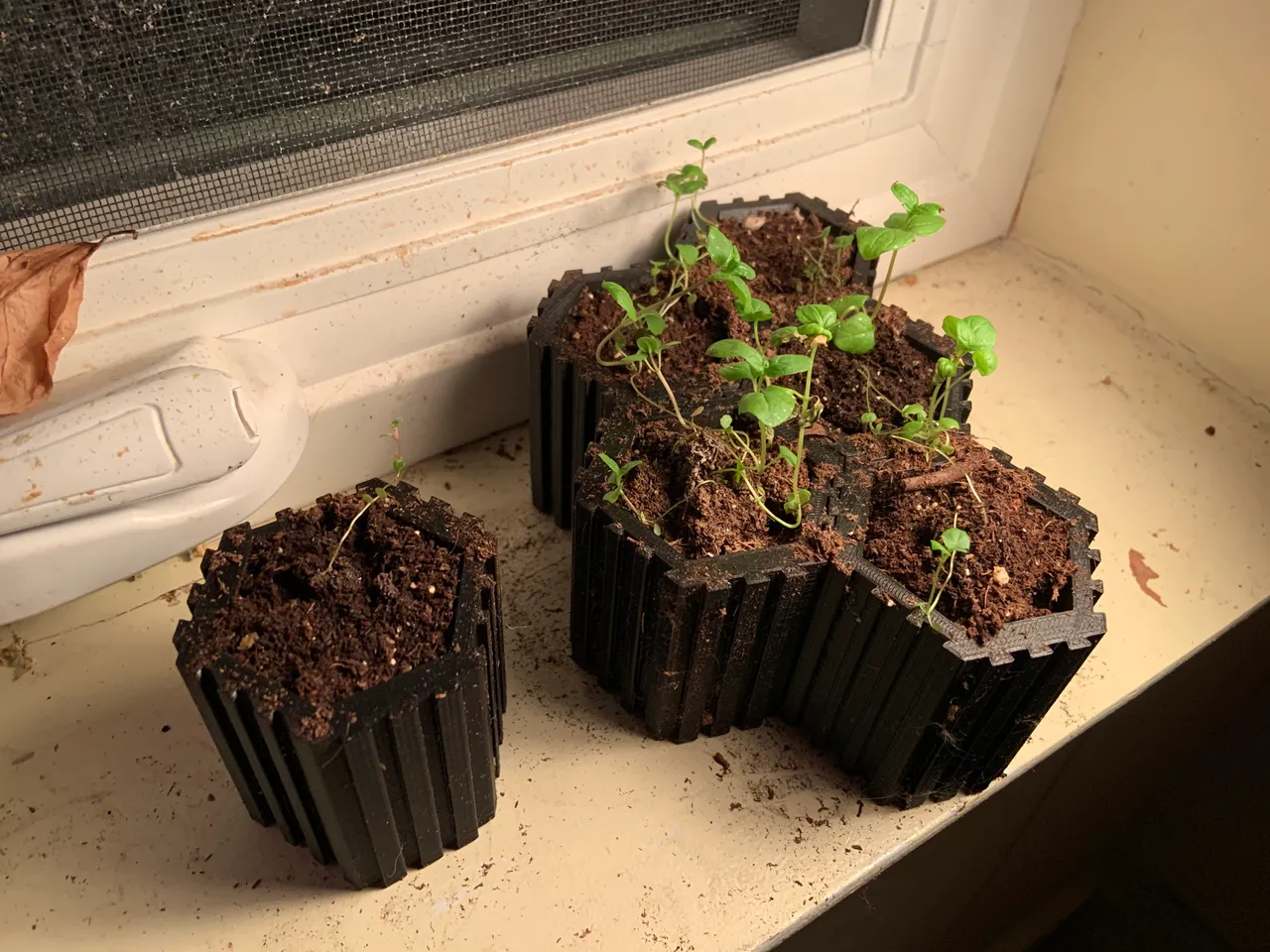 Interlocking Hexagonal Seedling Planters by Michael Conrad | Download ...