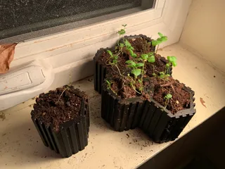 Hexagonal Interlocking Shelf by N757JB | Download free STL model ...