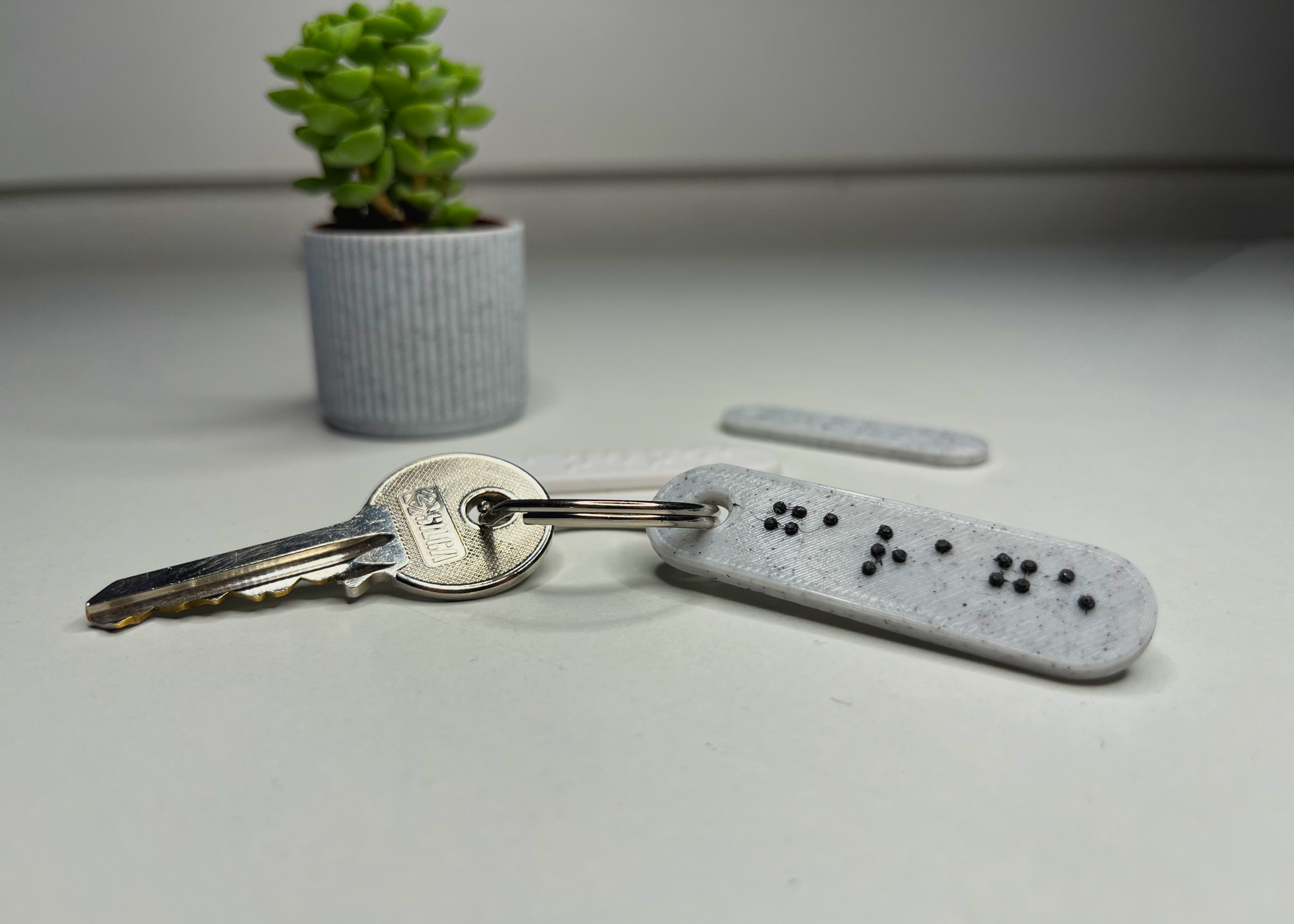 Custom Braille Key Tags by andino | Download free STL model ...