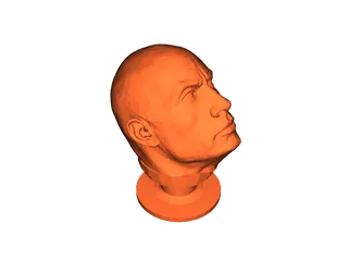 Dwayne the cRock johnson by Titus McDonough | Download free STL model ...