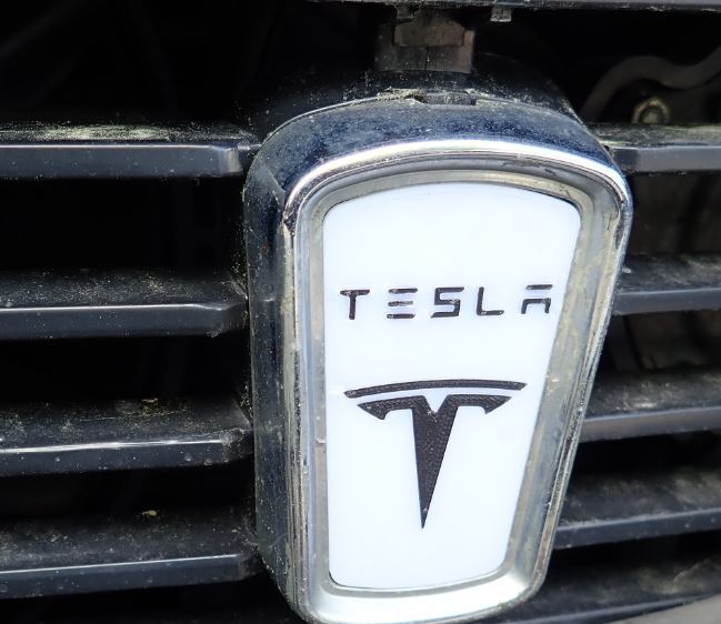 radiator badge lada vs tesla by jmvspeleo | Download free STL model ...