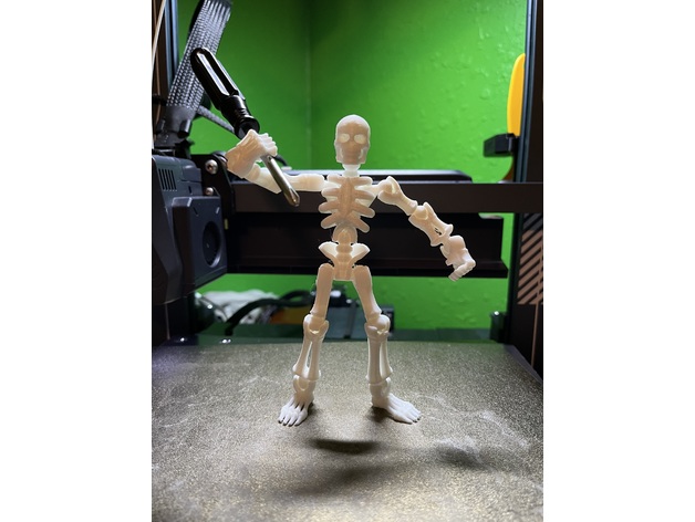 Skeleton by Kaleb08 | Download free STL model | Printables.com