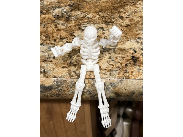 Skeleton by Kaleb08 | Download free STL model | Printables.com