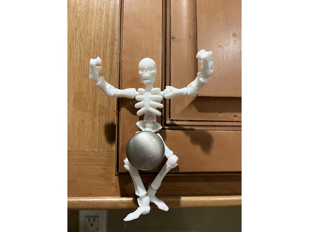 Skeleton by Kaleb08 | Download free STL model | Printables.com