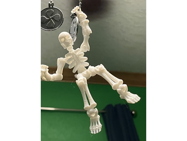 Skeleton by Kaleb08 | Download free STL model | Printables.com