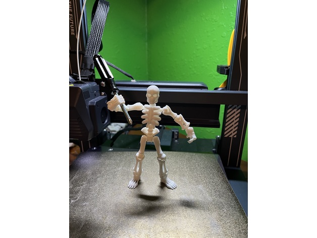 Skeleton by Kaleb08 | Download free STL model | Printables.com
