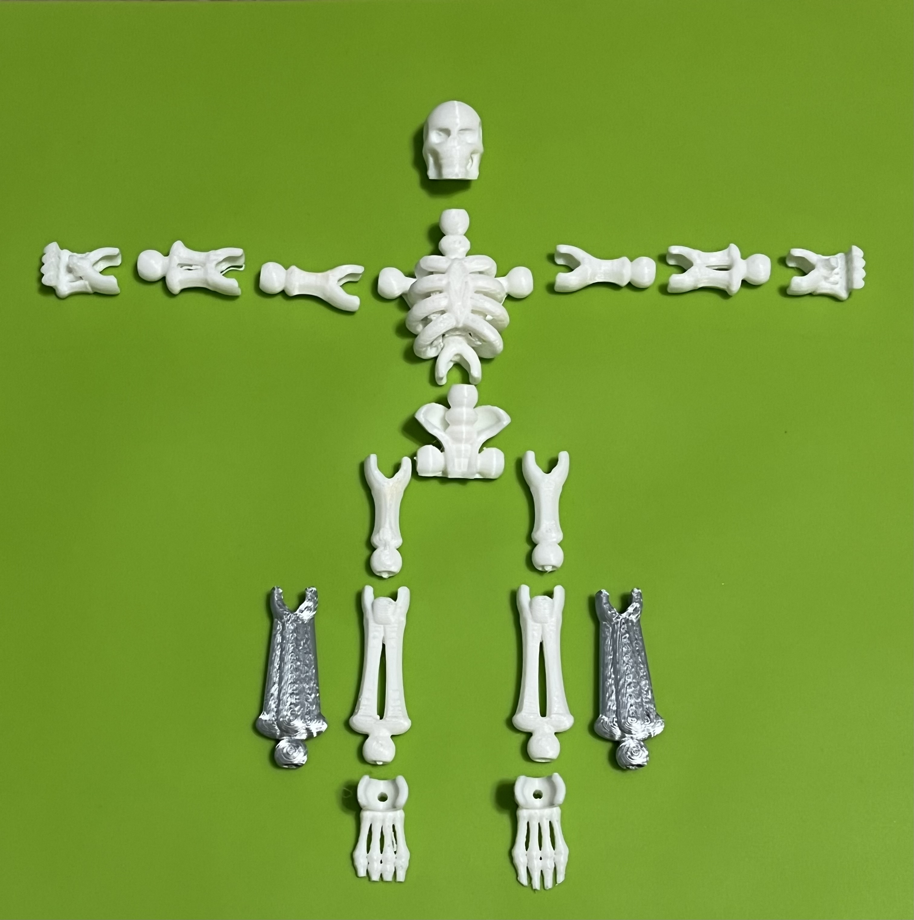 Skeleton by Kaleb08 | Download free STL model | Printables.com