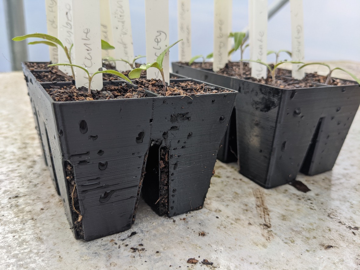 6 Cell Module Tray (Seed/Plug Tray) by Alex Ward | Download free STL ...