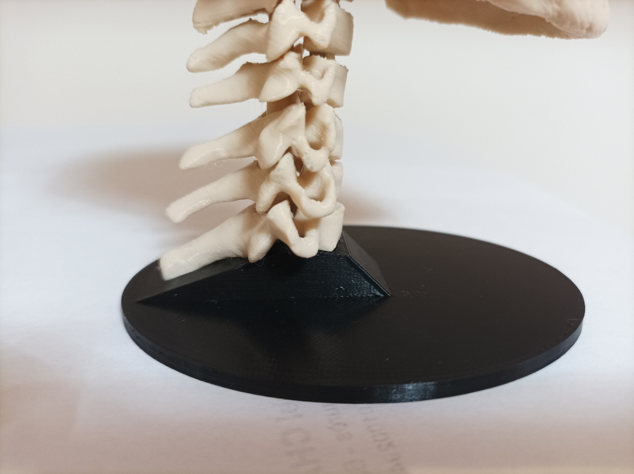 Human Skull Stand by Geoff. | Download free STL model | Printables.com