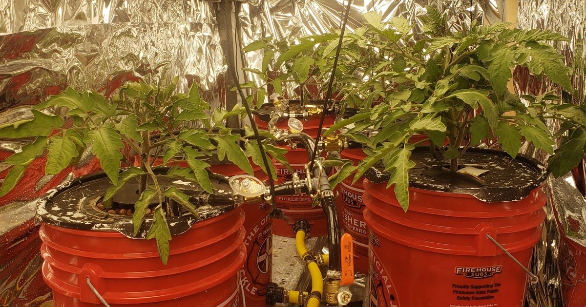 Bucket Drain Ideal for Hydroponics & Aeroponics Setups by Nick ...