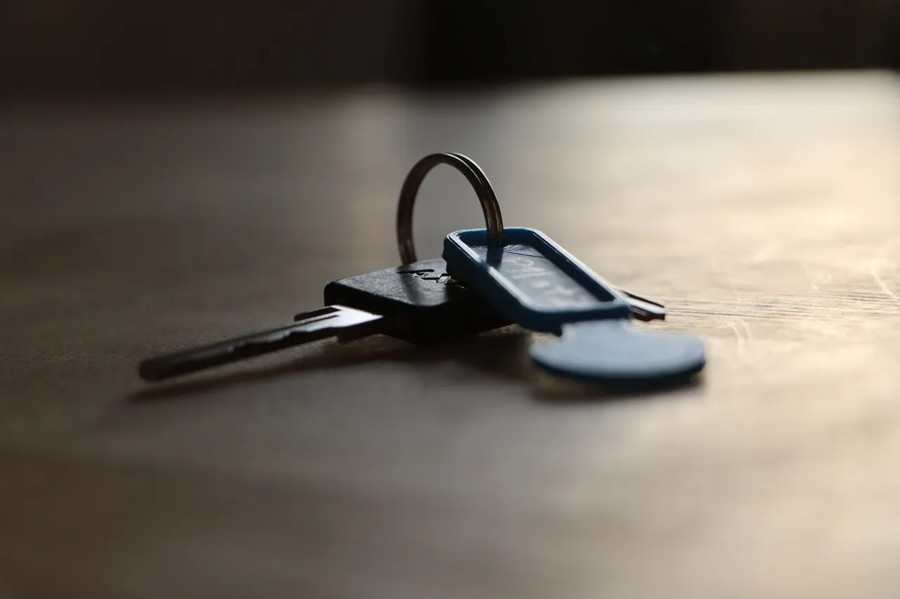 Removable Shopping Cart Coin / Trolley-key by P1lotz | Download free ...