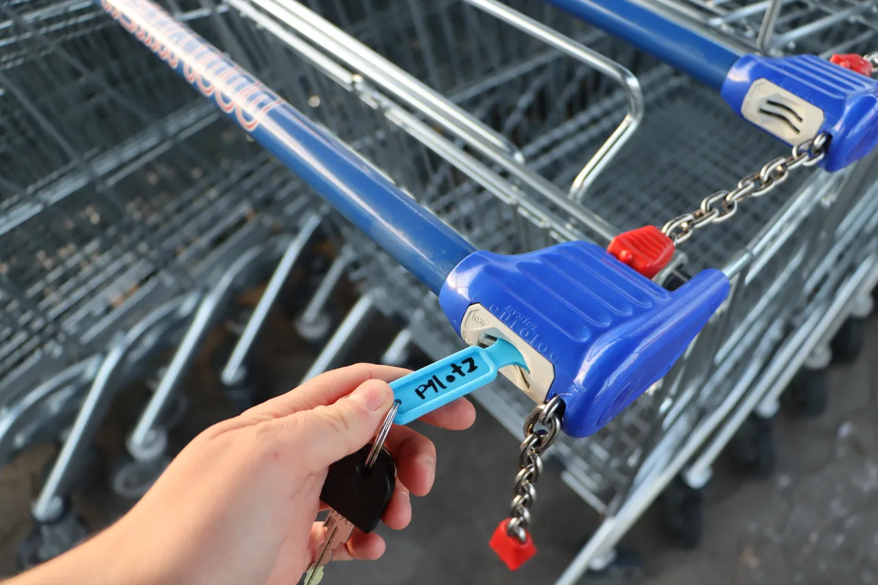 Removable Shopping Cart Coin / Trolley-key by P1lotz | Download free ...