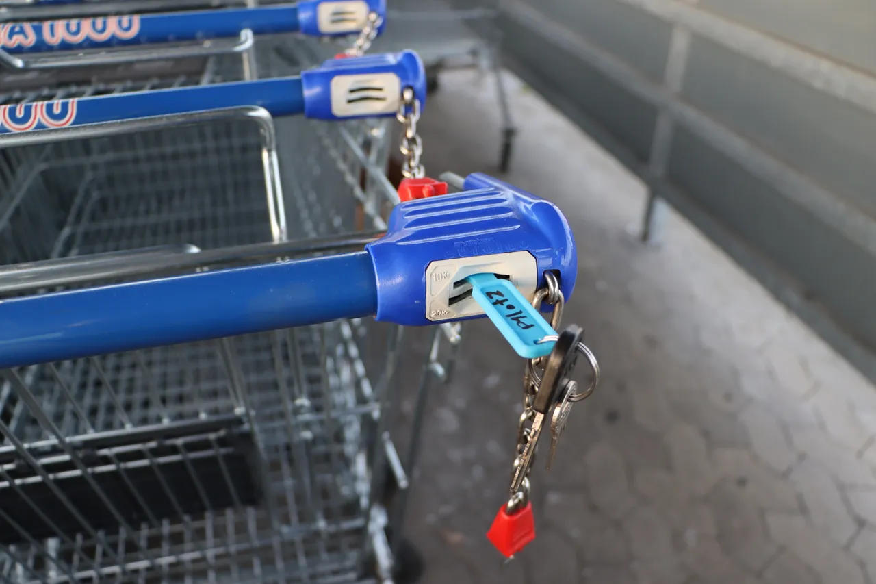 Removable Shopping Cart Coin / Trolley-key by P1lotz | Download free ...