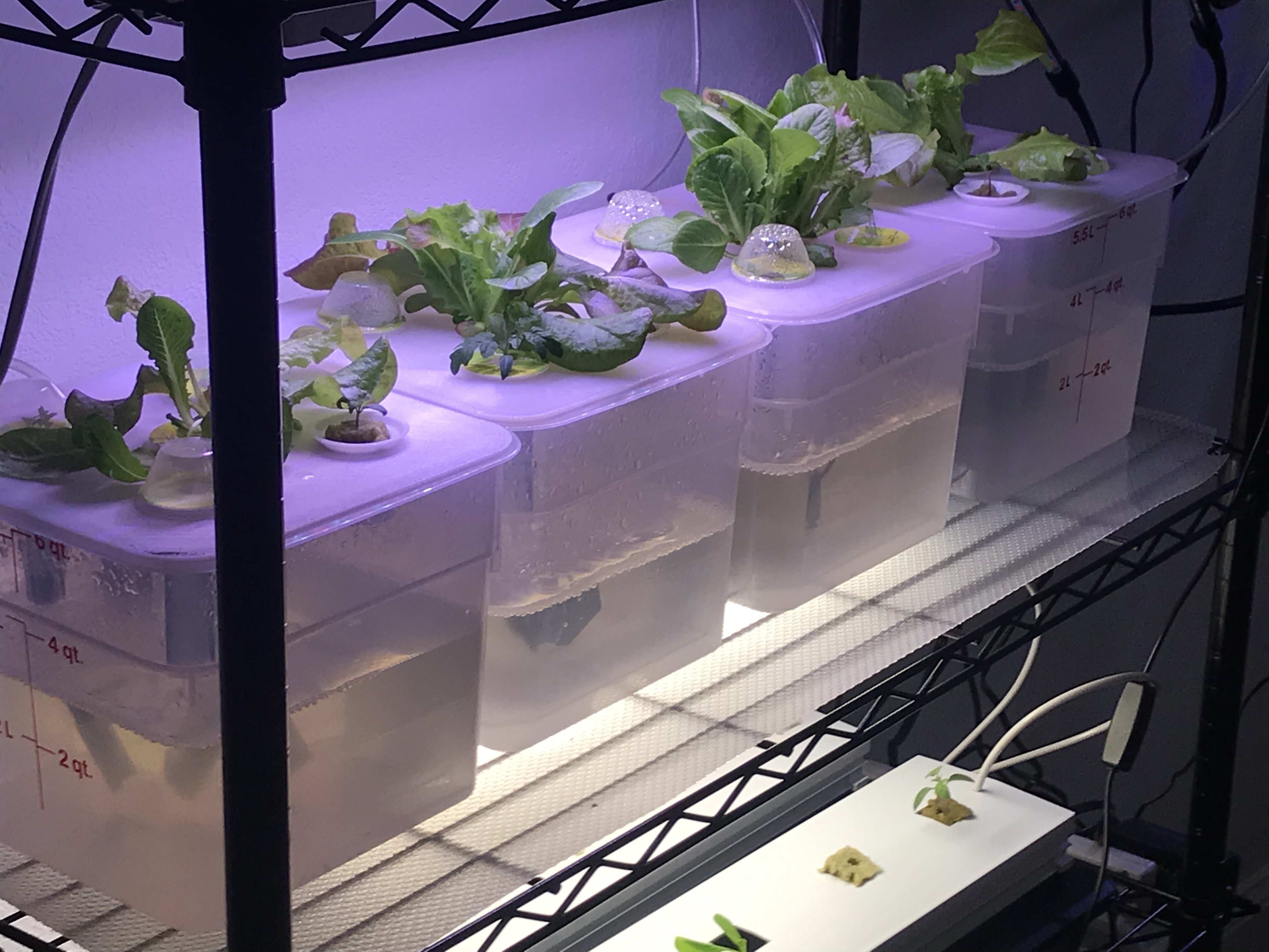 Ultimate Desktop Hydroponic Garden par Hoskins355 | Téléchargez ...