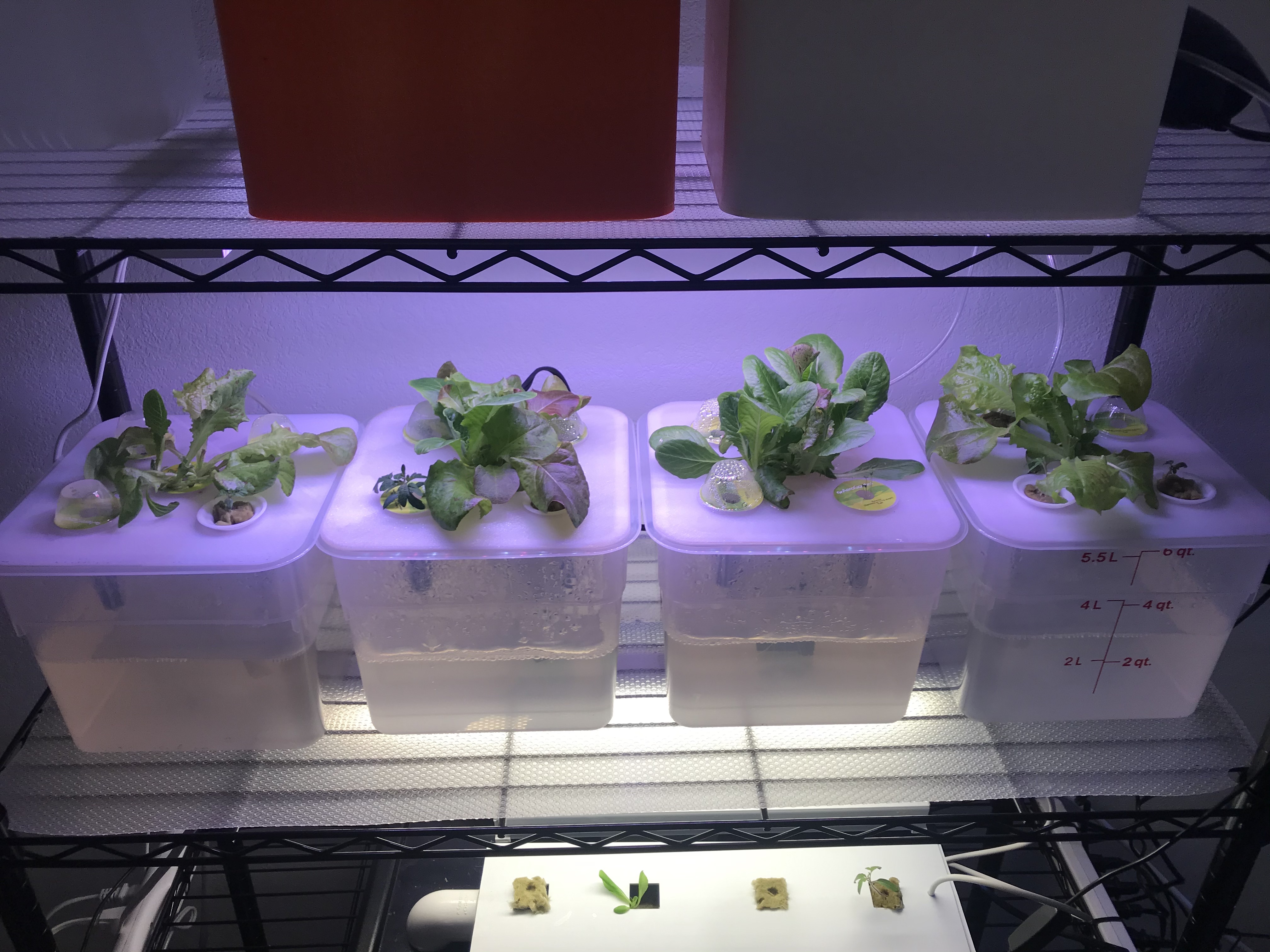 Ultimate Desktop Hydroponic Garden par Hoskins355 | Téléchargez ...