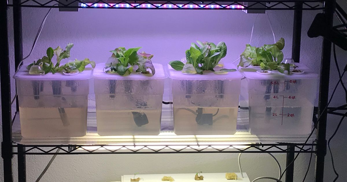 Ultimate Desktop Hydroponic Garden par Hoskins355 | Téléchargez ...