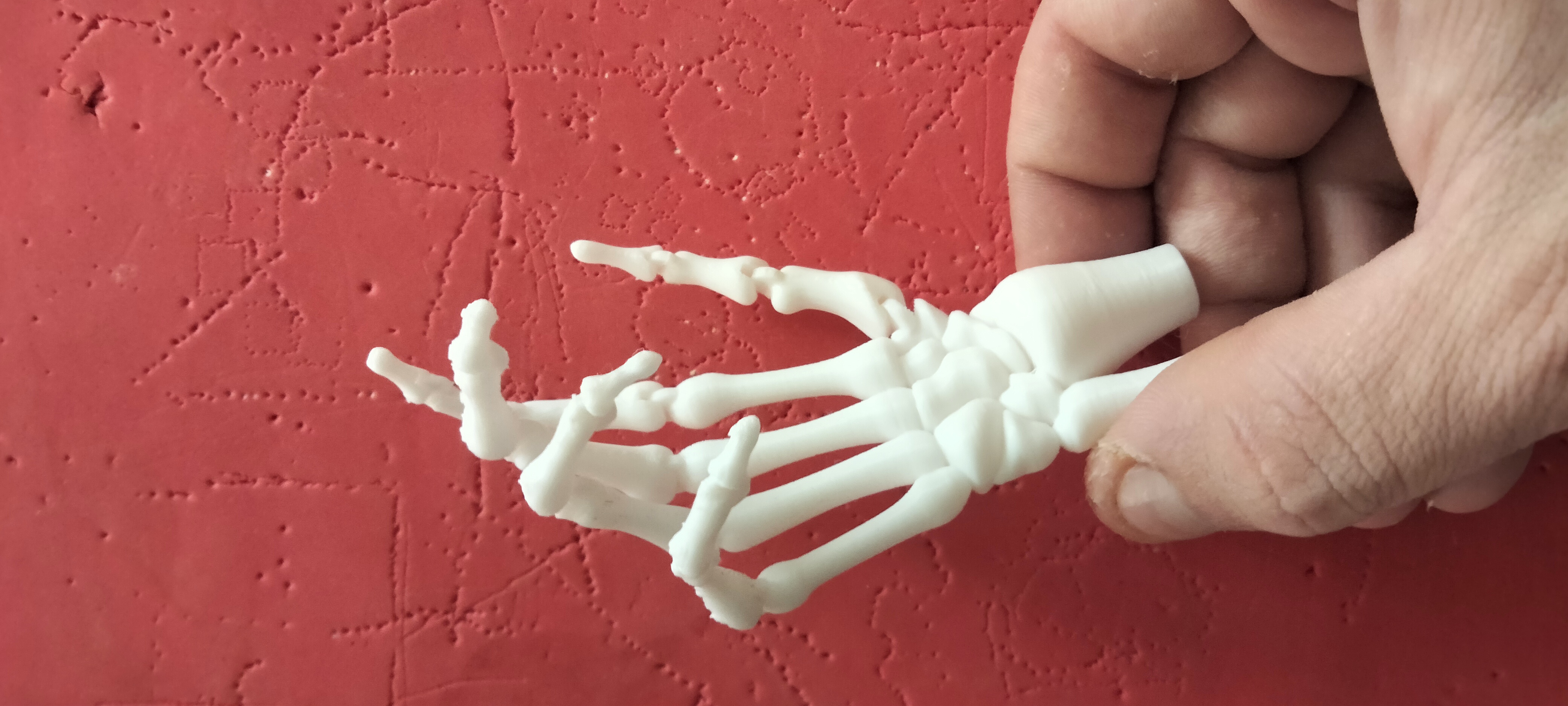 MANO ESQUELETO ARTICULADA by laboratoriogiratorio | Download free STL ...
