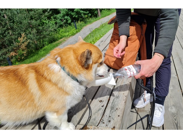 Pet Sipper - No spill water bowl by Hartvik Line | Download free STL ...