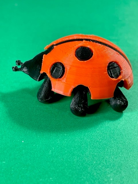 Ladybird with attachable elytra and movable legs by plog | Download ...