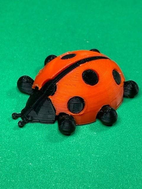 Ladybird with attachable elytra and movable legs by plog | Download ...