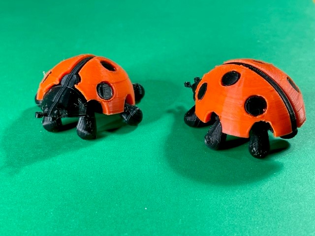 Ladybird with attachable elytra and movable legs by plog | Download ...