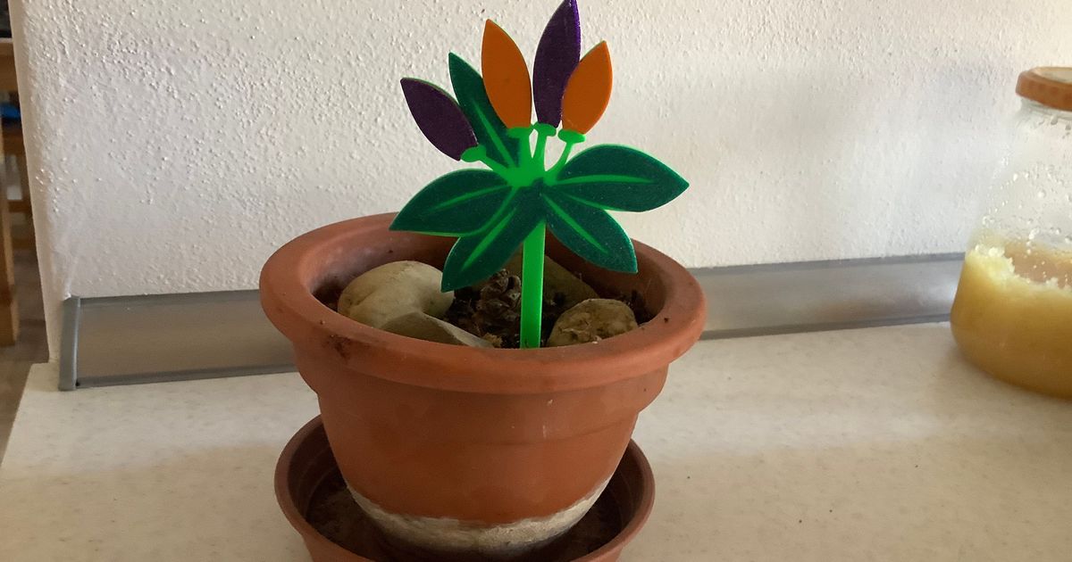 Chilli multicolor tag by Karolina Klempirova | Download free STL model ...