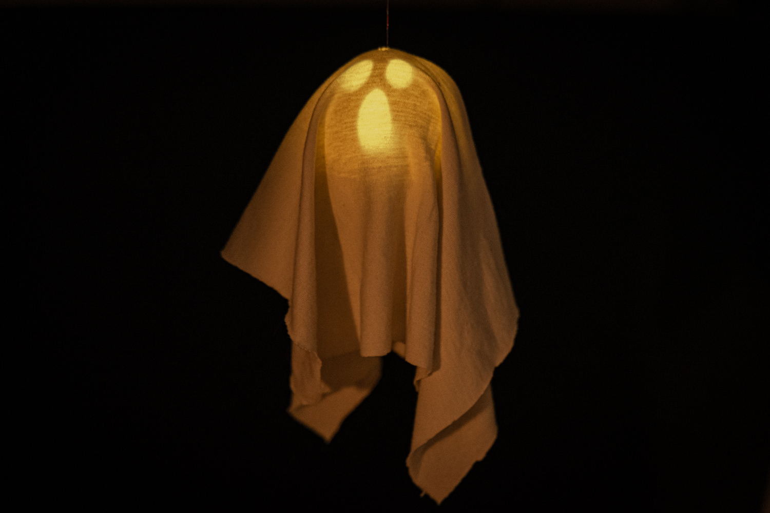 Flyin'ghost by ntcom | Download free STL model | Printables.com