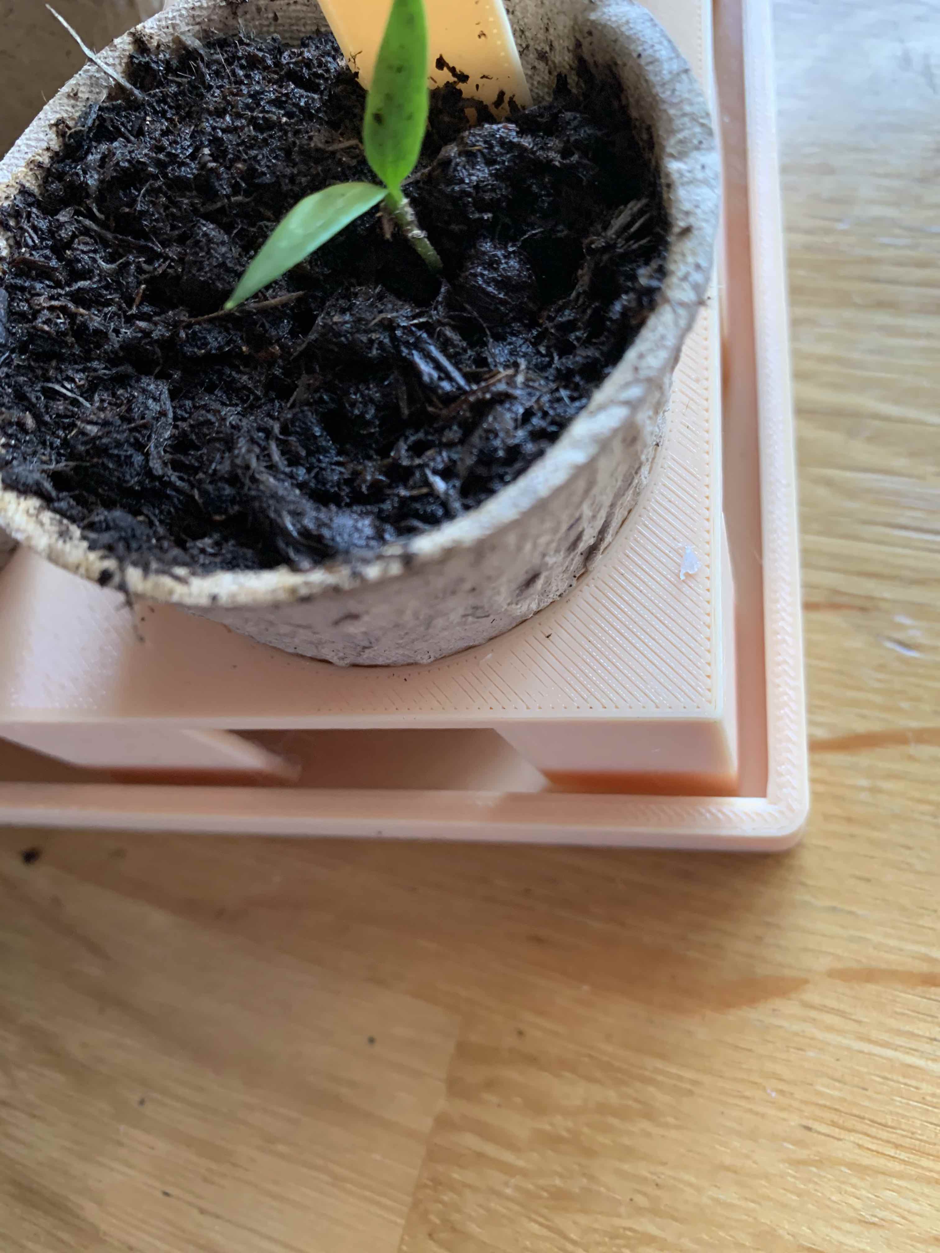 6cm Pot 3 x 3 Holder and tray by Sleepyhead | Download free STL model ...