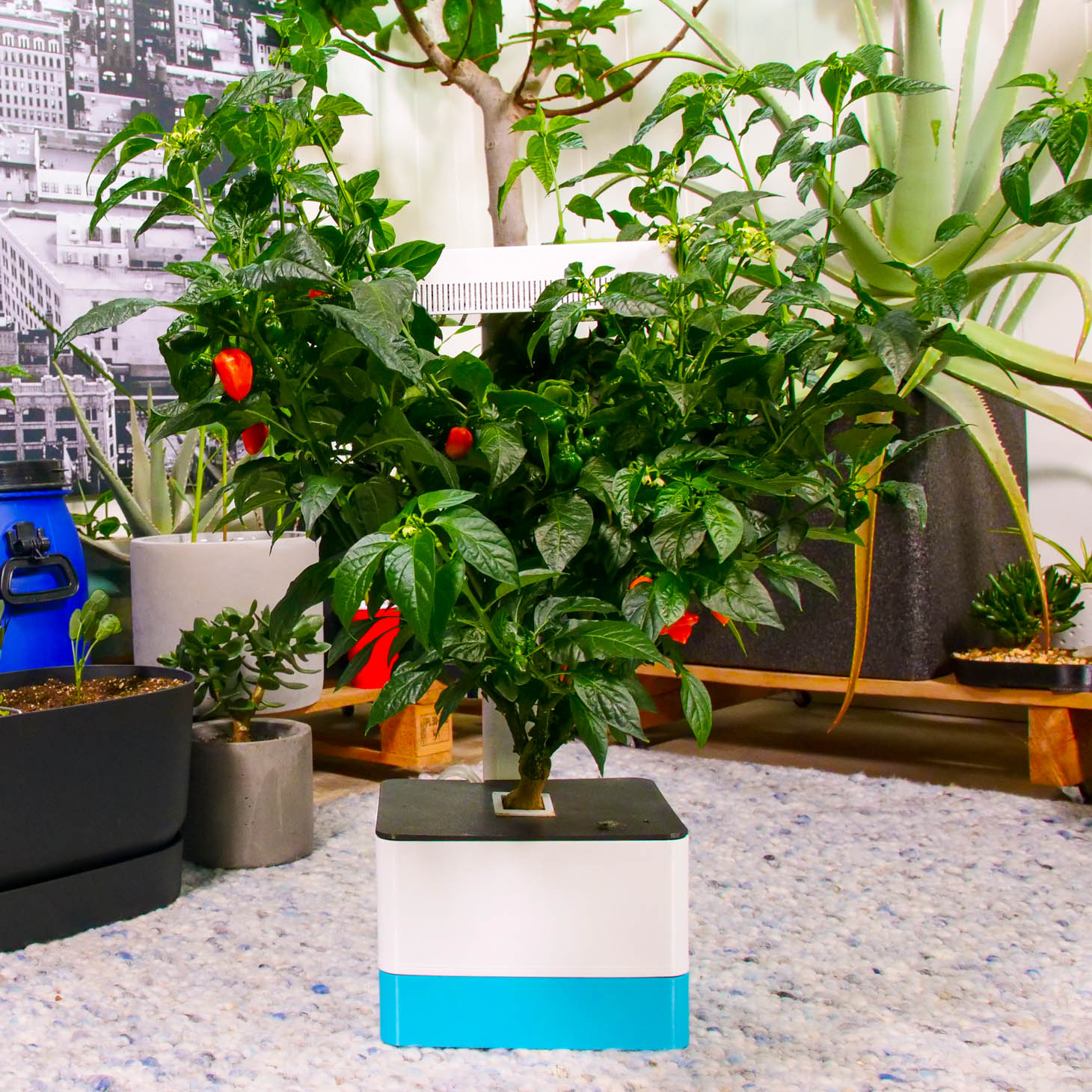 Hydroponic Grow Station by Christopher Brandsdal | Download free STL ...