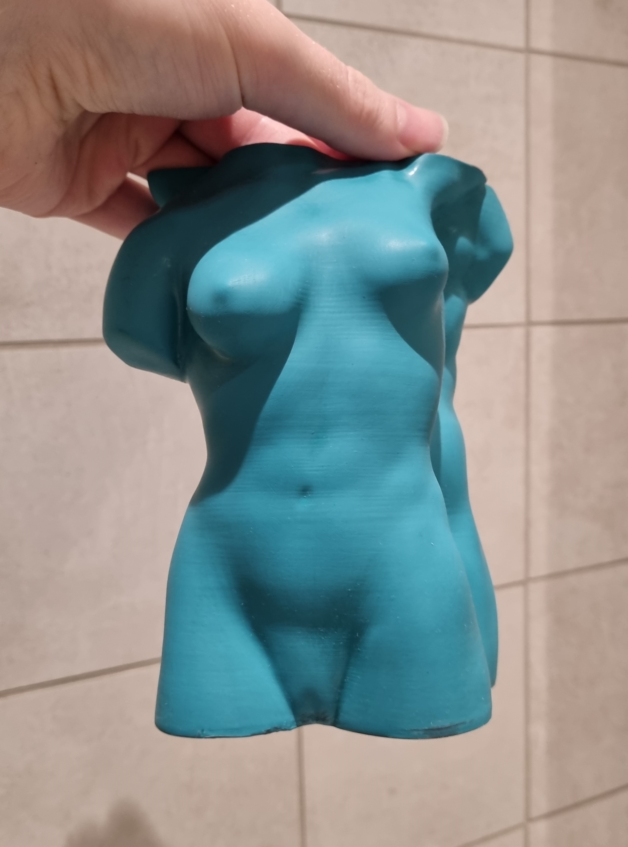 Body Vase - Male & Female von nahojjjen | Kostenloses STL-Modell herunterladen | Printables.com