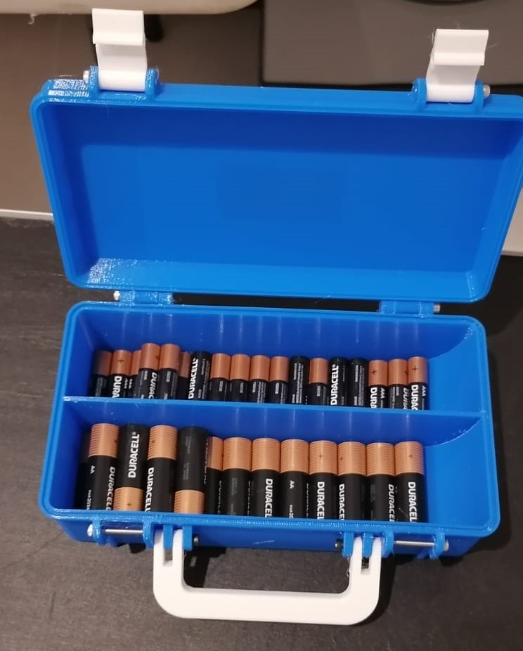 Horizontal Battery Box for AA and AAA - Color Inlays - 50+ Batteries by ...