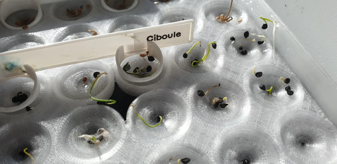 Germination System by Phil | Download free STL model | Printables.com