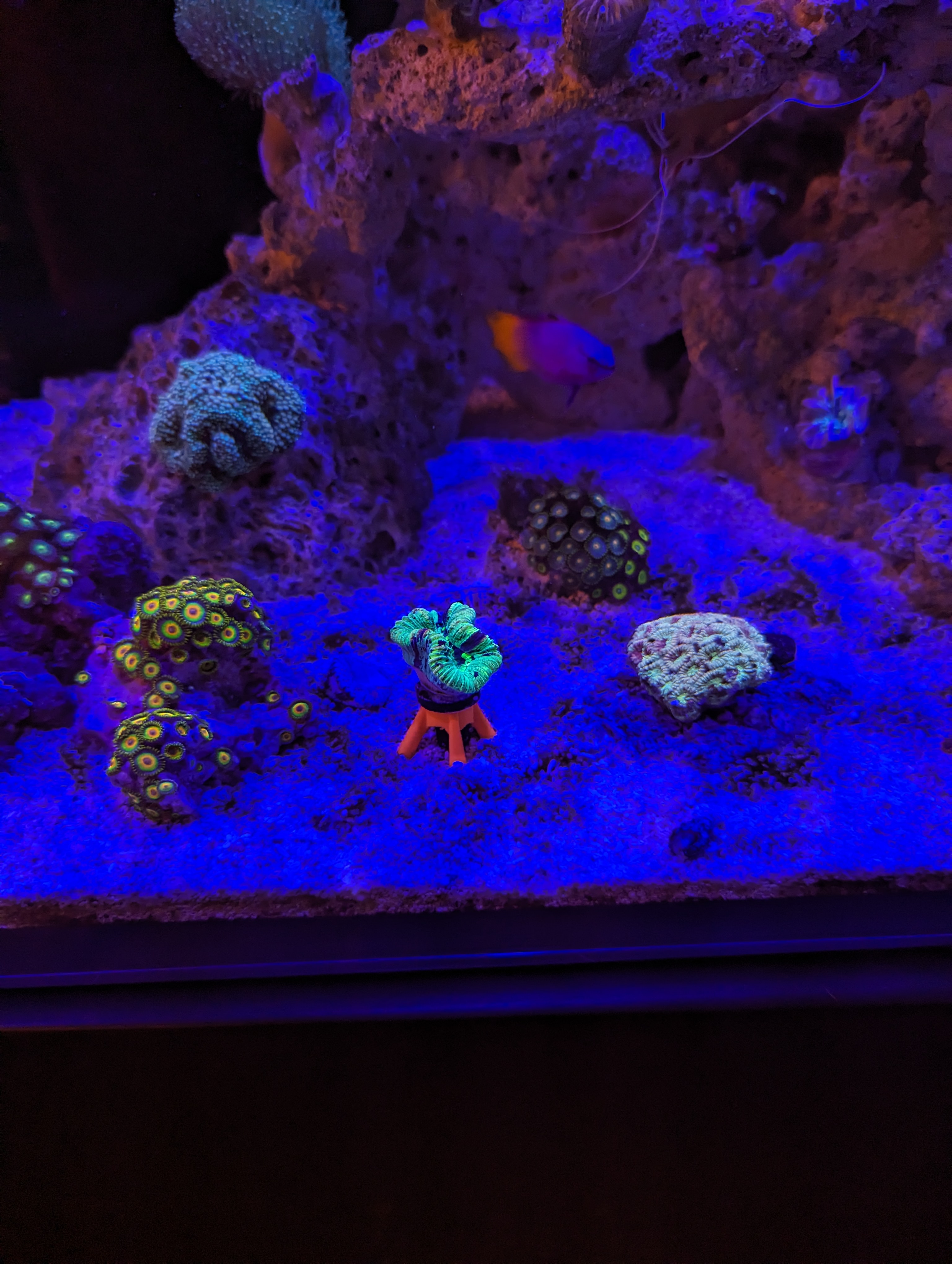 Frag Plug Stand by Denato1 | Download free STL model | Printables.com