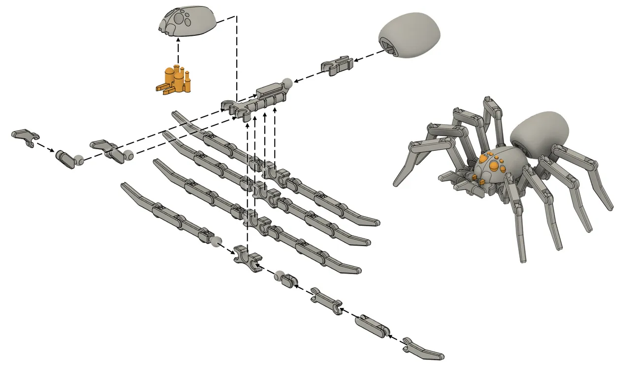 Articulated Spider by soozafone | Download free STL model | Printables.com