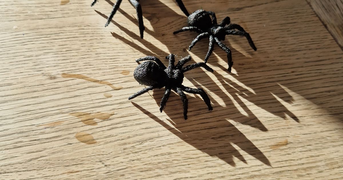 Realistic Spider - Easily Printable by Scipio | Download free STL model ...